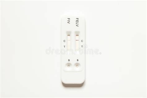 Rapid Test For Feline Leukemia Virus And Immunodeficiency Virus With A
