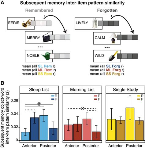 Time Dependent Transformations Of Memory Representations Differ Along The Long Axis Of The