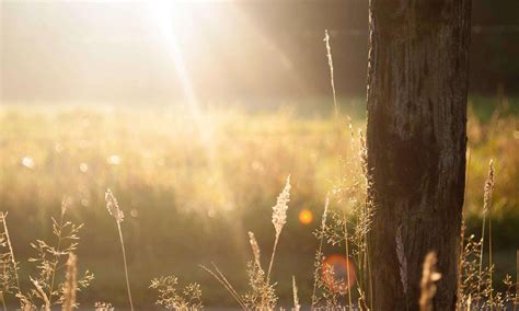 Navigating The Challenges Of Cloud Computing Security — Association Of Registered Web Designers