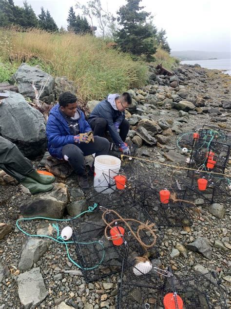 High School Tech Immersion Program 2023 Technl