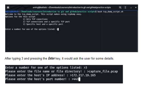 Create Your Own Tools Using Bash Script Cybrary