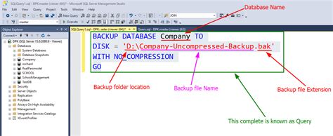 Database Backup Using SQL Queries And Its Type