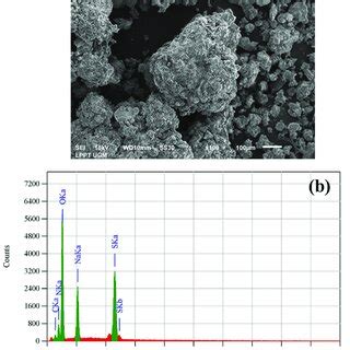 A SEM Image Of The Selected CNCs B EDS Diffraction Of The CNCs Download Scientific Diagram