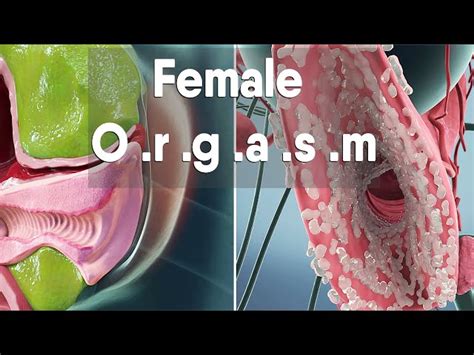 What Is The Purpose Of The Female Orgasm Factory Sale