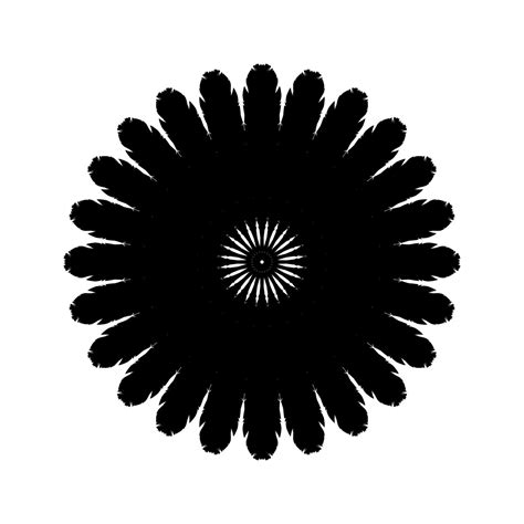 Ornamental Circle Shape Made By Feather Composition For Decoration Ornate Website Art