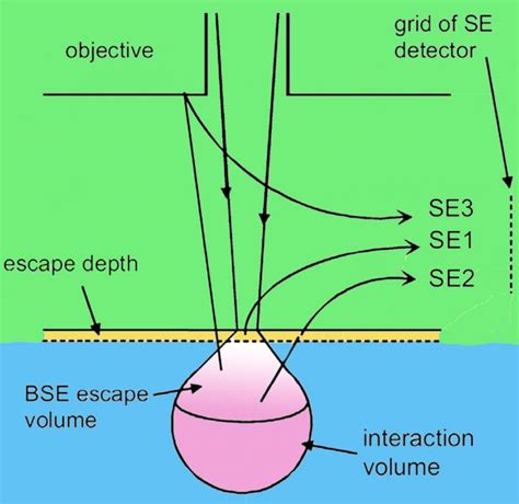 The Best Introduction To Scanning Electron Microscope Sem Vaccoat