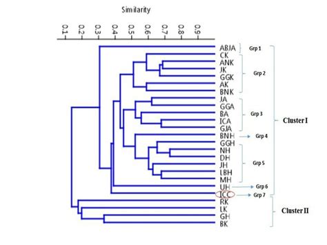 Dendrogram Showing Clustering Of 25 Genotypes Of Curcuma Species Download Scientific Diagram