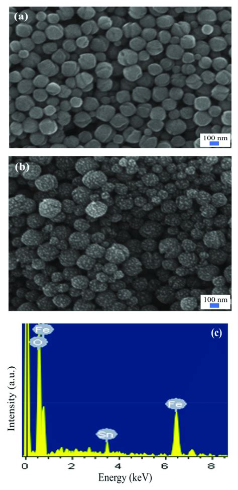 FE SEM images of a α Fe 2 O 3 b 0 07 SnO 2 α Fe 2 O 3 and c Download Scientific