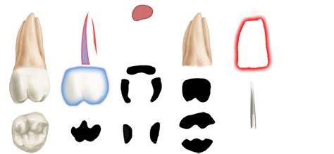 How To Draw A Border Around A Pixmap Derived From Png Qt Forum