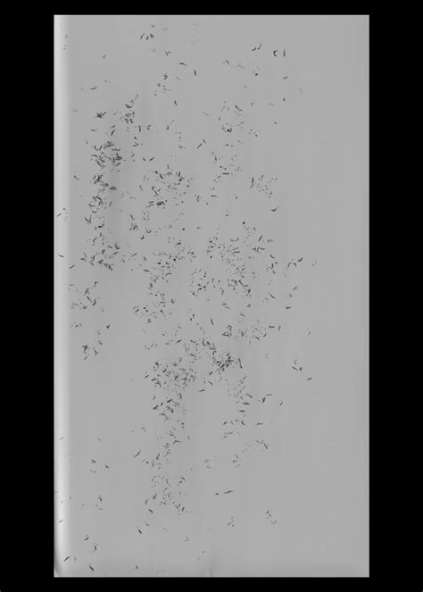 Extended Particle Analyzer Problem Counting Particles Usage And Issues