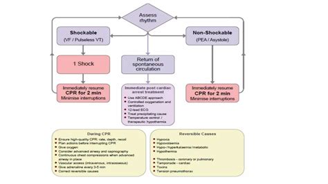 Maternal Collapse In Pregnancy Pptx