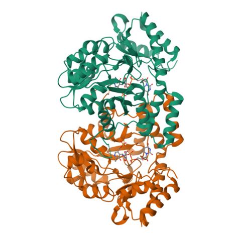 Rcsb Pdb 4oca Cryatal Structure Of Arnb K188a Complexted With Plp And Udp Ara4n