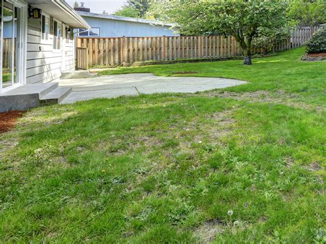 How To Roll A Bumpy Lawn Dryer Enthusiast