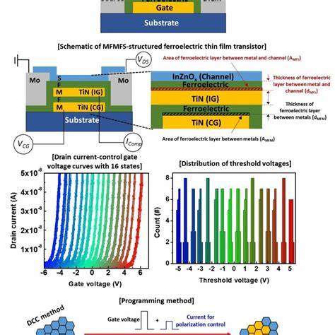 Researchers Enhance Performance Of Hafnia Based Memory Devices By Doping Ferroelectric Materials