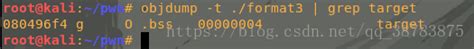 Pwn 练习笔记 覆盖内存地址pwn Fmtstr Hhn Csdn博客 Pwn 练习笔记 覆盖内存地址pwn Fmtstr Hhn Csdn博客
