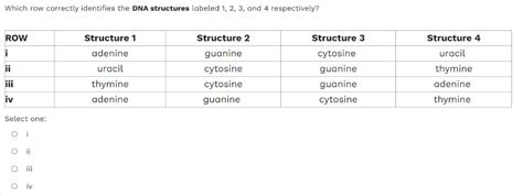 Solved Which Row Correctly Identifies The Dna Structures