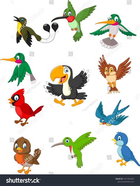 Cartoon Birds Collection Set Stock Vector Royalty Free 1071961832
