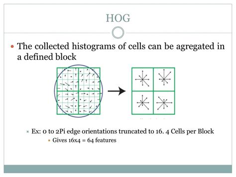 Ppt Histograms Of Oriented Gradients For Human Detection Powerpoint