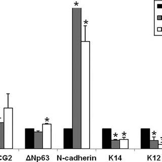Gene Expression Of Corneal Epithelial Markers In Cultured LECs Download Scientific Diagram