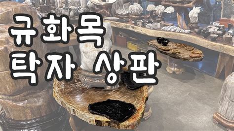무늬가 너무너무 멋진 규화목 탁자 상판 Youtube
