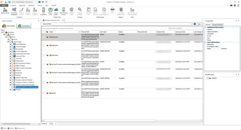 Digital Forensics Artifacts Paraben Corporation