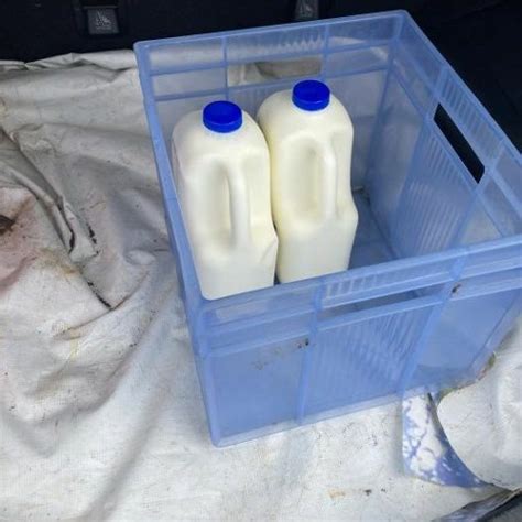 Stream Minecraft Sex Mod By Burneraccountforbadsongs Listen Online For Free On Soundcloud