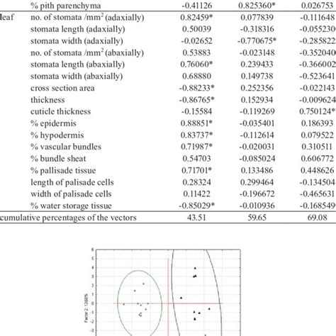 Principal Components Analysis Pca Of Measured Parameters Factor