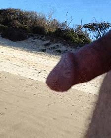 Beach CFNM To Be Jealous Of GIF Sex Gifs Porn GIF XXX GIFs PICTOA