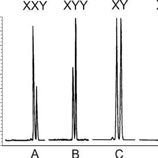Comparison Of Electrophoretograms Of Sex Test PCR Products Generated By Download Scientific