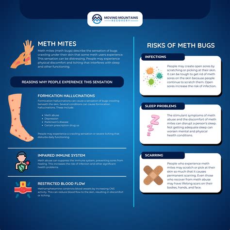 What Are Meth Mites And How Do You Deal With Them