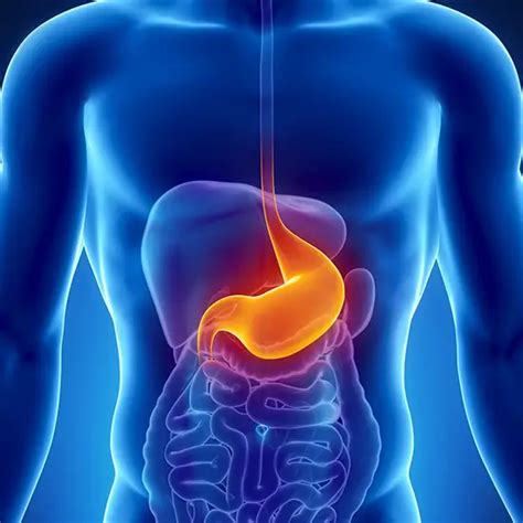 Helicobacter Pylori Antigen Rapid Stool Test Price In Delhi India Ganesh Diagnostic