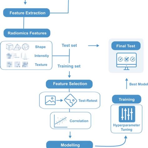 Representative Feature Expression Maps Showing Distinct Patterns Of Download Scientific Diagram