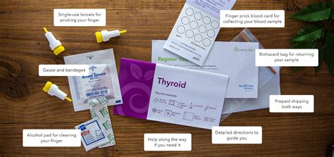 At Home Thyroid Levels Test Easy To Use And Understand Everlywell