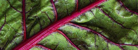 Notre Nouveau Rapport Rse Compass Group France