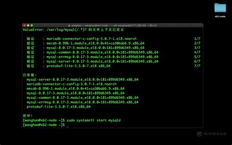 安装与启动 MySQL Node js 服务端应用开发生产环境 宁皓网