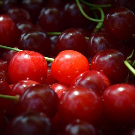 Premium Photo Sweet Red Cherry