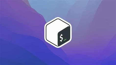 the unix command line for beginners courses bag