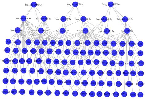 Microarray Analysis Of Circular Rna Expression Profile Associated With 5 Fluorouracil Based