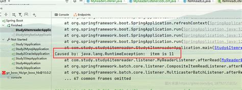 Spring Batch Itemreader详解jpapagingitemreaderbuilder Csdn博客