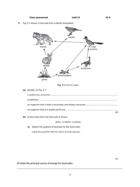 Unit 19 Test Pdf