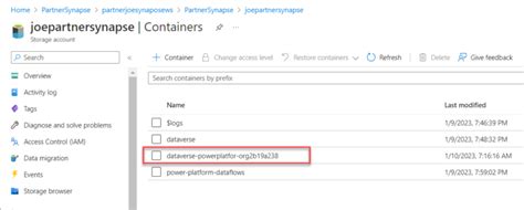Synapse SQL User Joe Gill