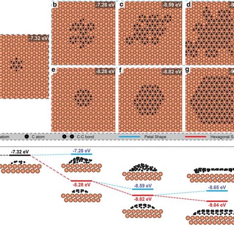 Xixiang Zhang Director Of Core Labs Professor Ph D King Abdullah University Of Science