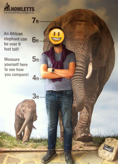 Typical Norwegian Guy