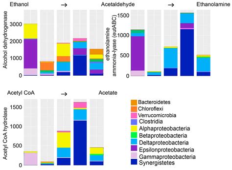Microorganisms An Open Access Microbiology Journal From MDPI