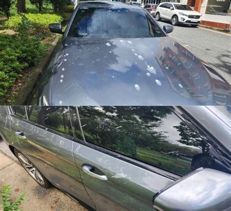 고가도로 아래 지나가는데 정체불명 액체가 차 위로알고보니 헉스