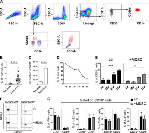 Presence Of Pmn Mdsc In The Apheresis Of G Csf Mobilized Donors And