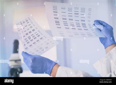 Scientist Analizing DNA Sequence In The Modern Laboratory Stock Photo Alamy