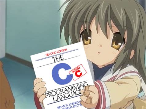 anime girls holding programming books anime girls holding programming books