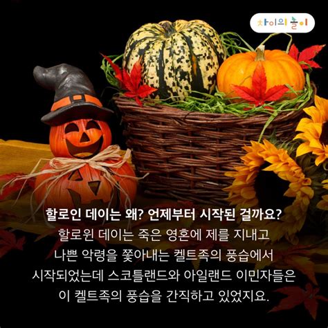 아이에게 할로윈 데이를 설명해주세요 이렇게 차이의 놀이
