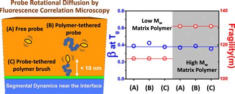 Direct Observations Of Segmental Dynamics At The Polymersubstrate Interface Enabled By